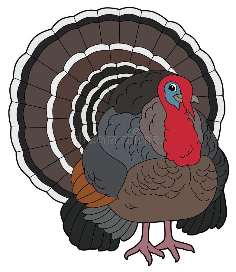 Tecknad filmkalkon vektor illustrationer. Illustration av tacksägelse ...