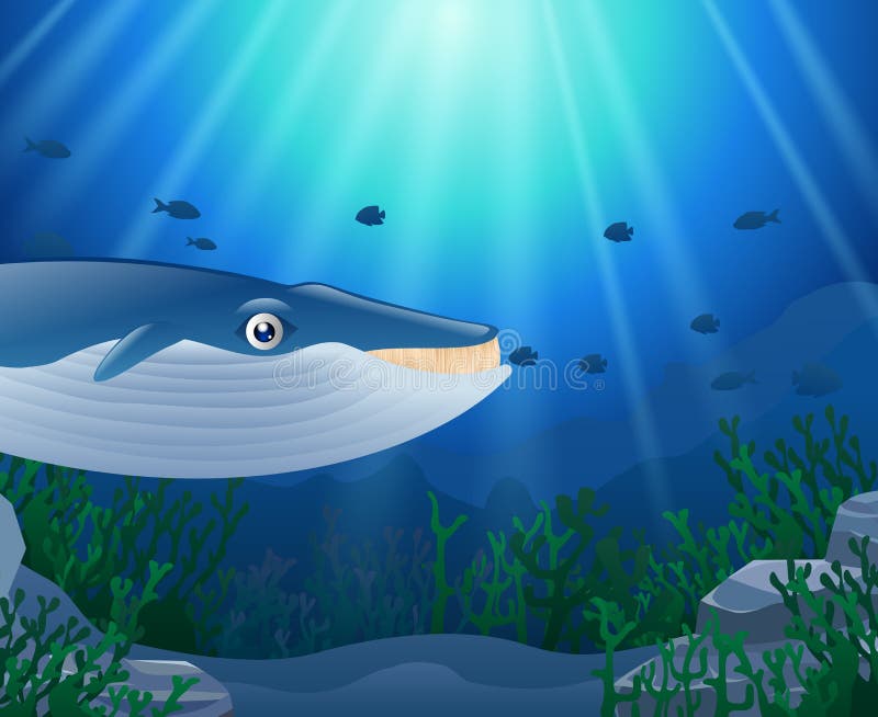 Tecknad filmval med korall vektor illustrationer. Illustration av ungar ...