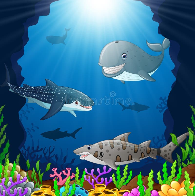 Tecknad Filmval Under Havet Vektor Illustrationer - Illustration av ...