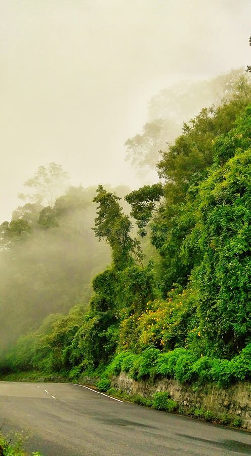 Tecleo natural imagen de archivo. Imagen de desee, cualesquiera - 133060549