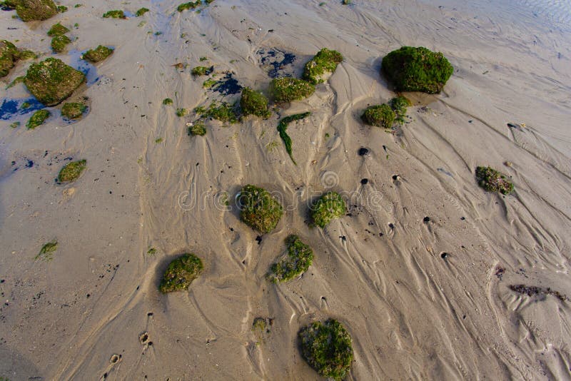Tectile of sandy beach stock image. Image of stone, green - 27955651