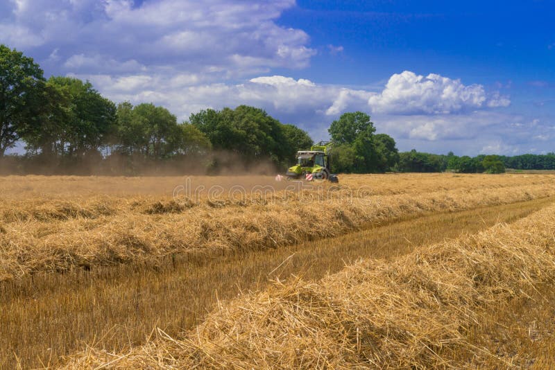 Tedder (machine) stock image. Image of agriculture, baeume - 33527929