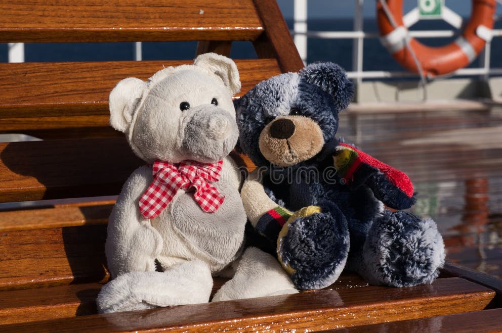 Teddies on a Cruiser stock photo. Image of autumn, atlantic - 78809092