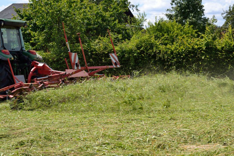 Tedding hay with tractor stock photo. Image of tedding - 57545776