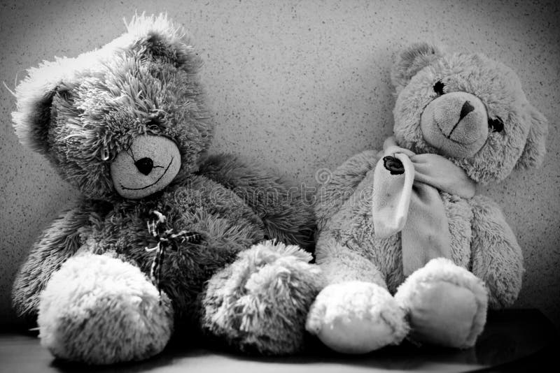 Teddy stock image. Image of pair, adorable, eyes, white - 11049573