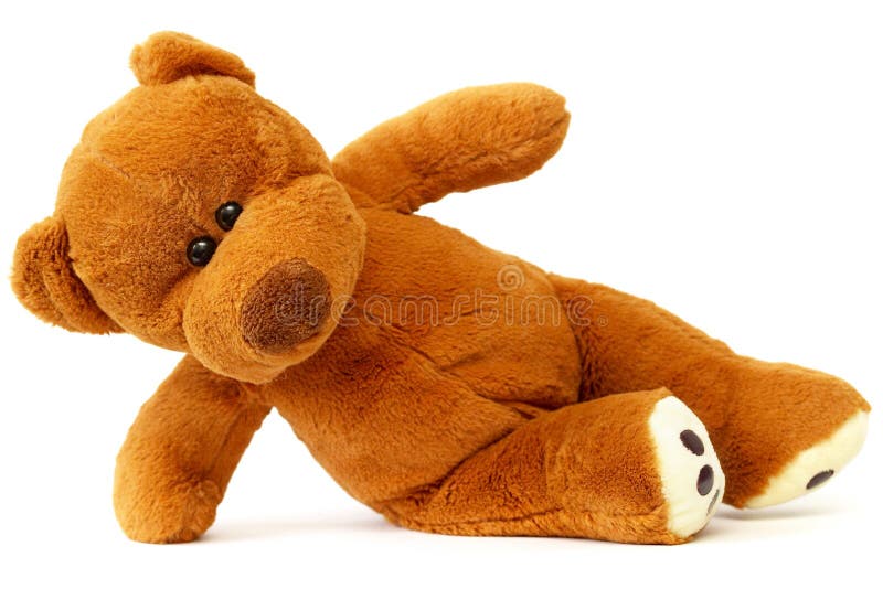 821 Dancing Bear Stock Photos - Free & Royalty-Free Stock Photos from ...