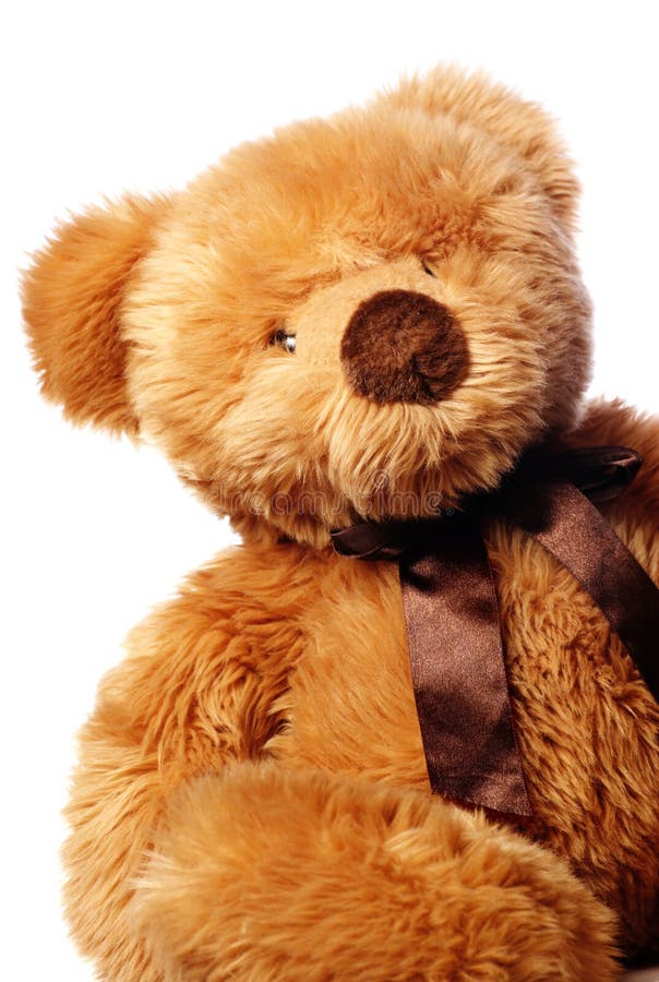 Teddy Bear stock photo. Image of play, isolated, childhood - 24759496