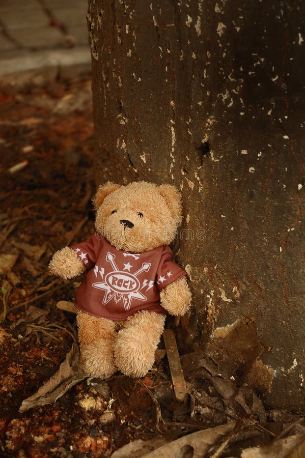 Toy Teddy Bear on Wc Toilet Stock Photo - Image of soft, poop: 14237354