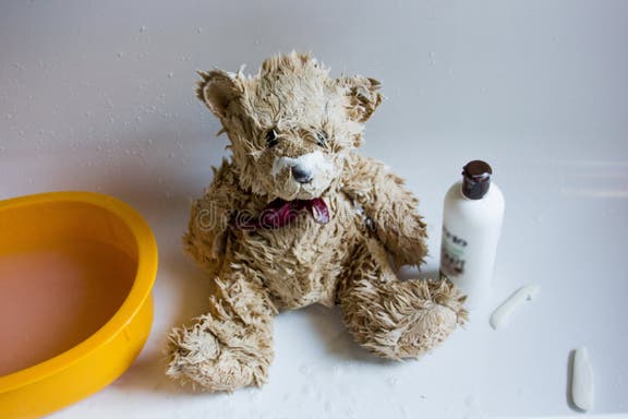 Teddy Bear foto de archivo. Imagen de animal, fondo, poco - 95203776