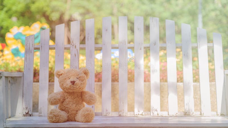 Teddy bear adventure stock photo. Image of adventure - 79974012