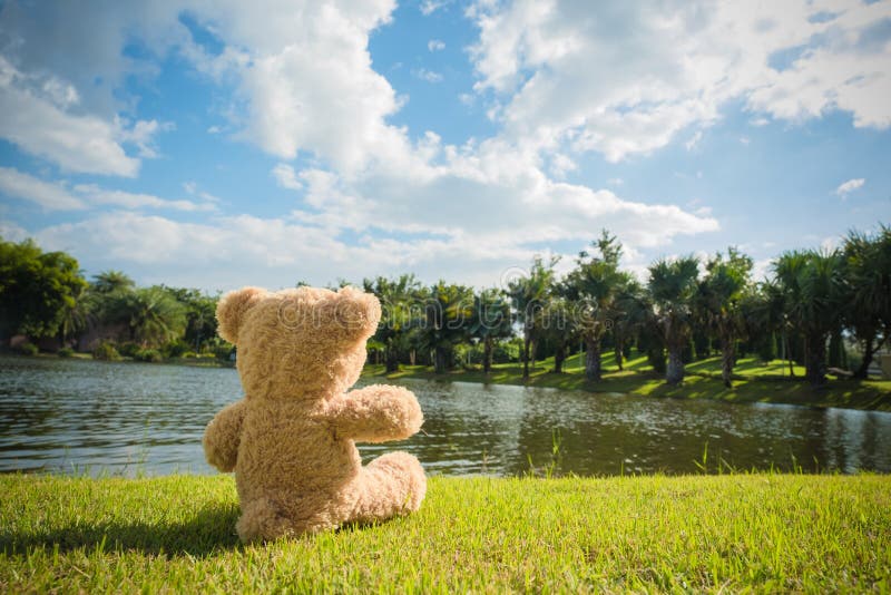 Teddy bear adventure stock image. Image of gift, adventure - 79974663