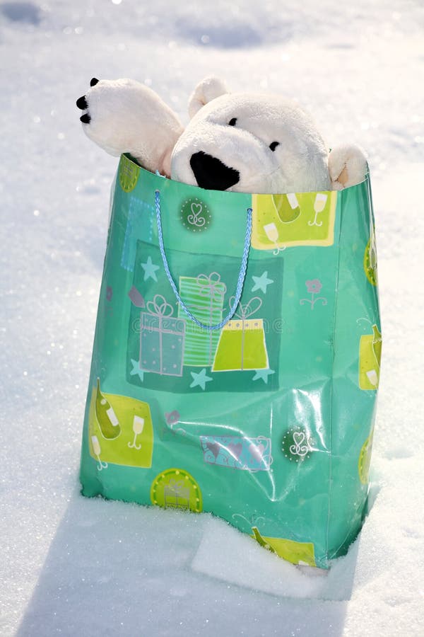 Teddy bear in the bag stock photo. Image of cold, gift - 3401340