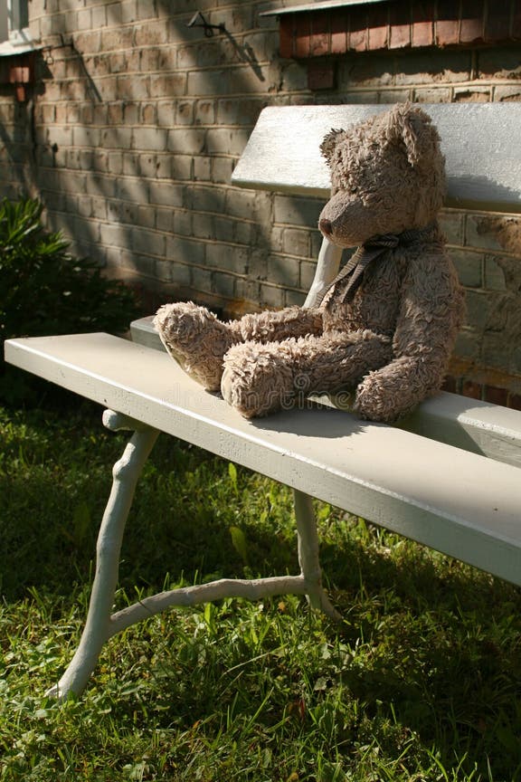 Teddy bear on bench stock photo. Image of kind, mood - 12892746