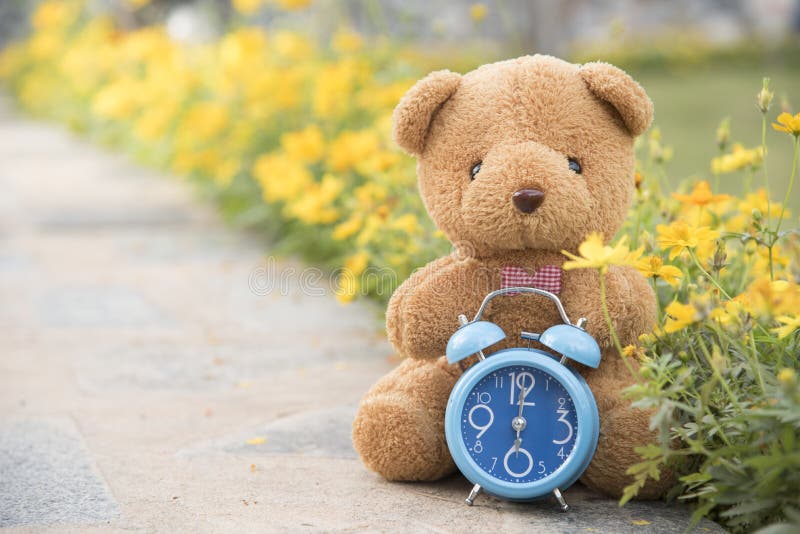 Teddy Bear with Blue Clock on Backdrop Stock Photo - Image of sitting ...