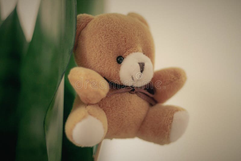 A Teddy Bear with a Bow Tie is Hanging on a Tree. Stock Photo - Image ...