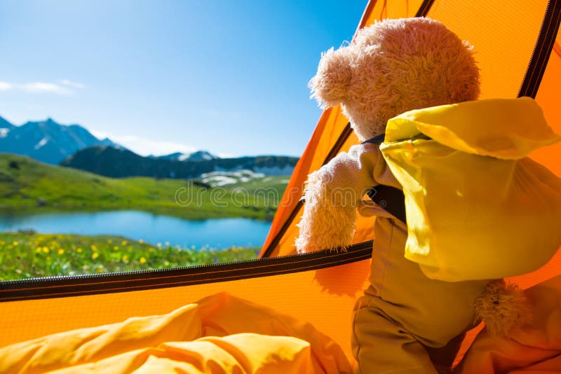 Teddy bear camping stock image. Image of tent, funny - 35591011