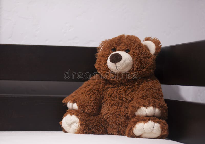 Bear soft toys stock photo. Image of warm, soft, childhood - 5037714
