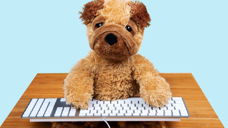 Teddy Bear Typing on Keyboard Stock Video - Video of humor, computer ...