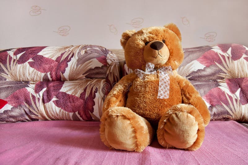 Teddy bear on the couch stock photo. Image of bear, seat - 68194336
