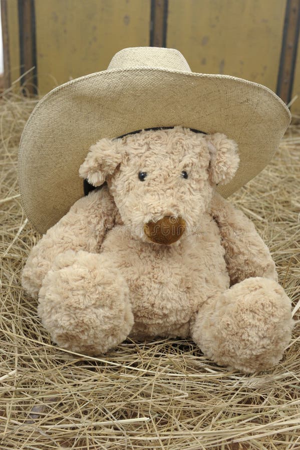 Teddy bear with cowboy ha stock photo. Image of teddy - 25138774