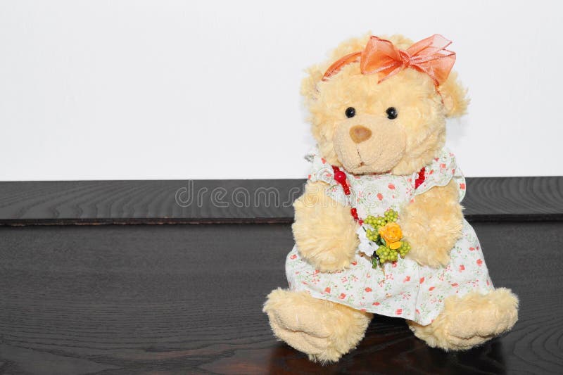 Teddy Bear Dressed in Dress. Stock Photo - Image of doll, decoration ...
