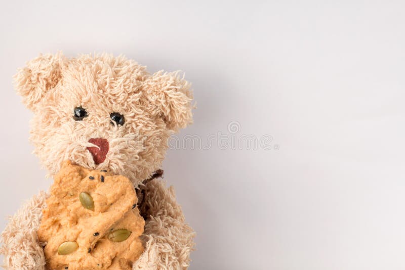 A Teddy Bear is Eating Sweet Cookies. Stock Photo - Image of mammal ...