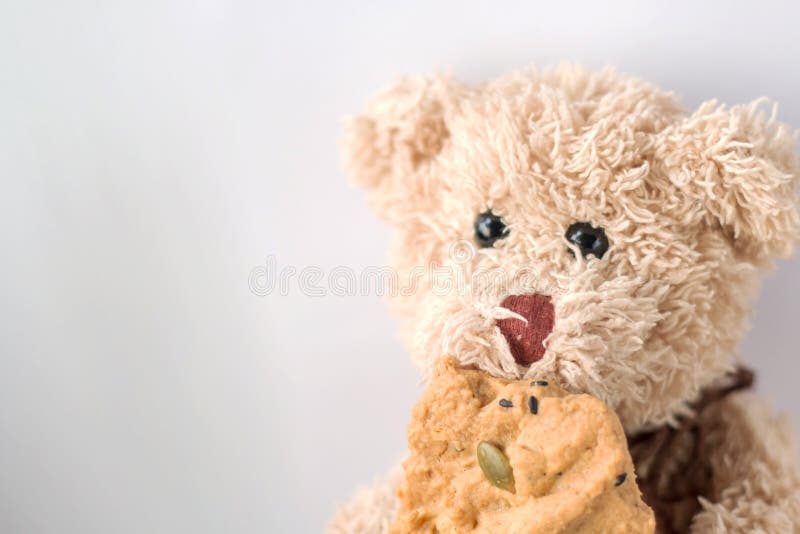 Teddy Bear is Eating Sweet Cookies. Stock Photo - Image of innocence ...
