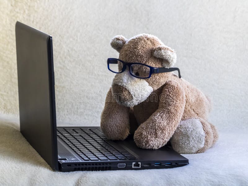 Teddy Bear Sitting in Front of Laptop Stock Photo - Image of teddy ...