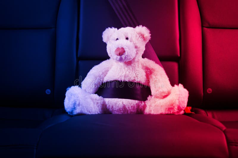 Teddy Bear Fastened in the Back Seat Stock Image - Image of buckle ...