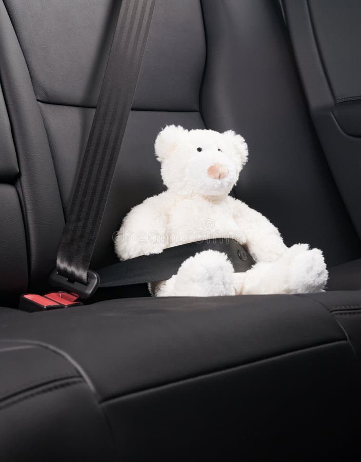 Teddy Bear Fastened in the Back Seat of a Car Stock Photo - Image of ...