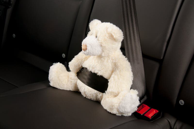 Teddy Bear Fastened in the Back Seat of a Car Stock Photo - Image of ...