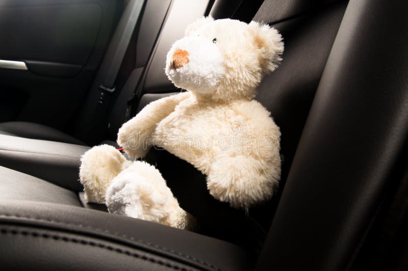 Teddy Bear Fastened in the Back Seat of a Car Stock Photo - Image of ...