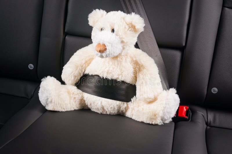 Teddy Bear Fastened in the Back Seat of a Car Stock Photo - Image of ...