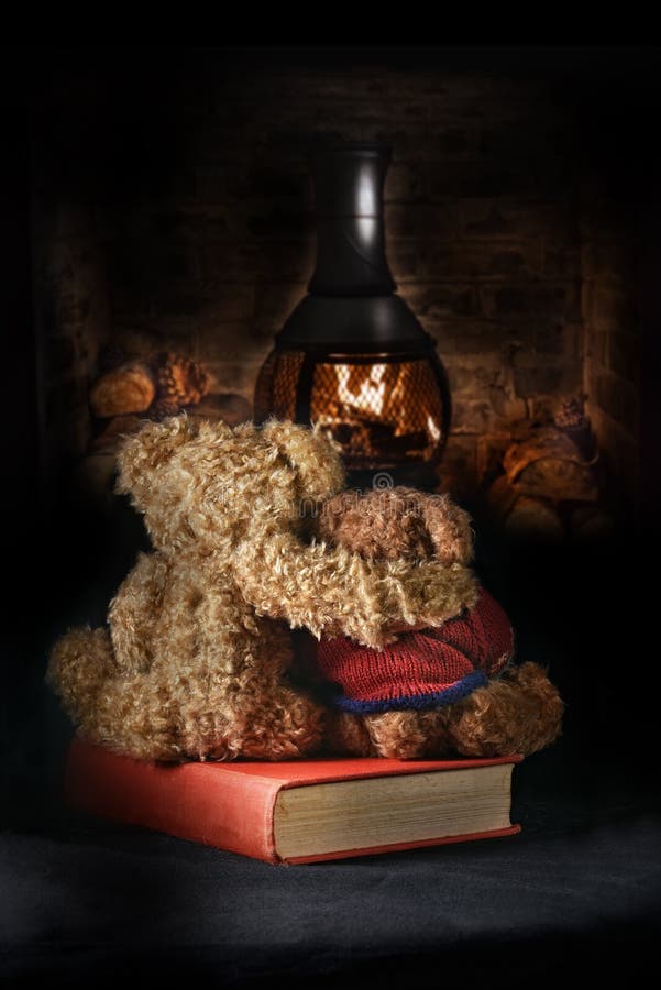 Teddy Bear Fire Watching stock photo. Image of friendship - 100005452