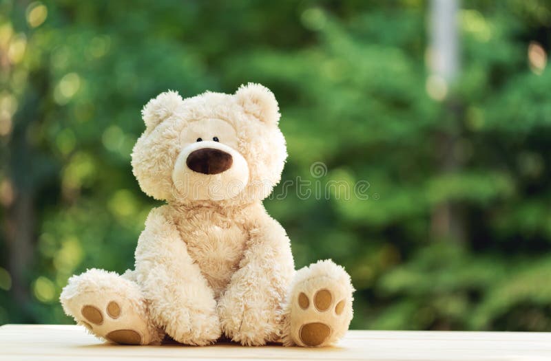 A Teddy Bear on Forest Background Stock Image - Image of wood, outdoor ...