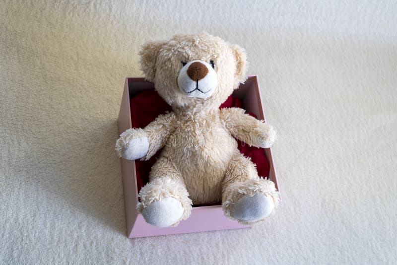 Teddy bear in gift box stock image. Image of idea, birthday - 240963231