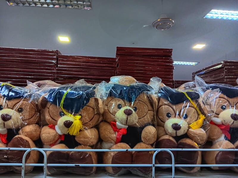 Teddy Bear for the Graduation Ceremony Stock Image - Image of isolated ...