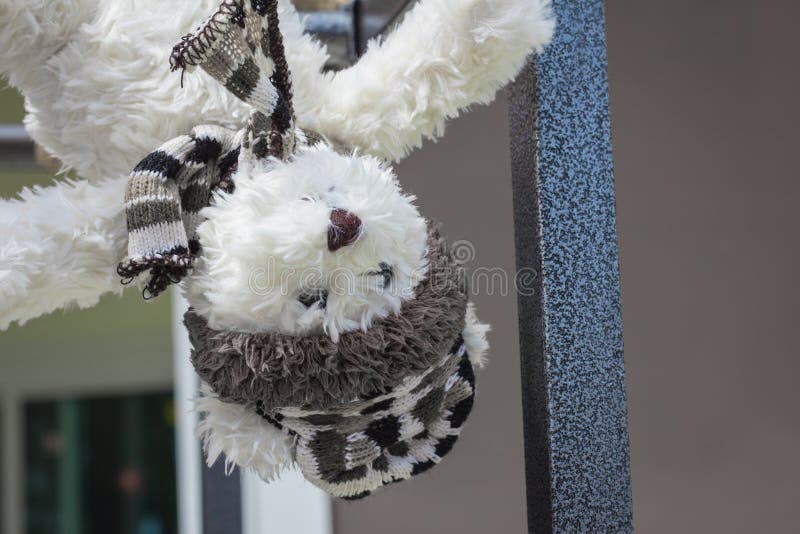 Teddy bear hanging. stock image. Image of adorable, blue - 79778429