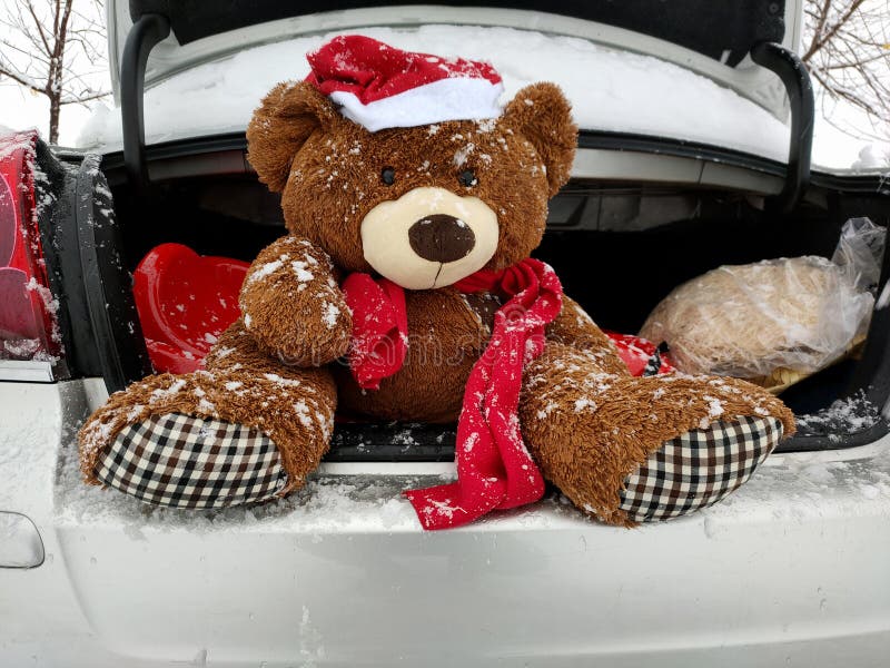 Teddy Bear in a Hat in the Open Trunk of a Car Stock Image - Image of ...