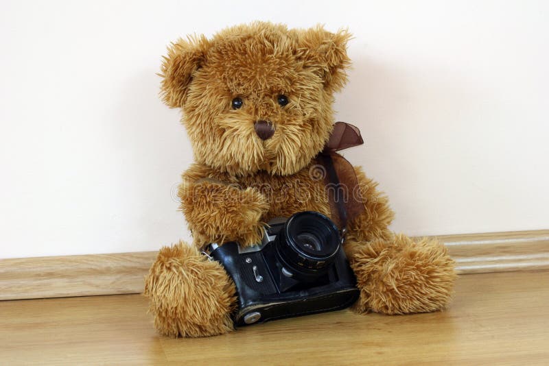 Teddy Bear Holding a Camera Stock Photo - Image of leaning, sitting ...