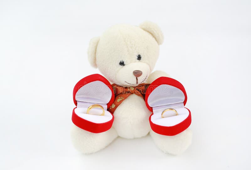 Teddy Bear Holding Red Box with Wedding Rings Inside Stock Image ...