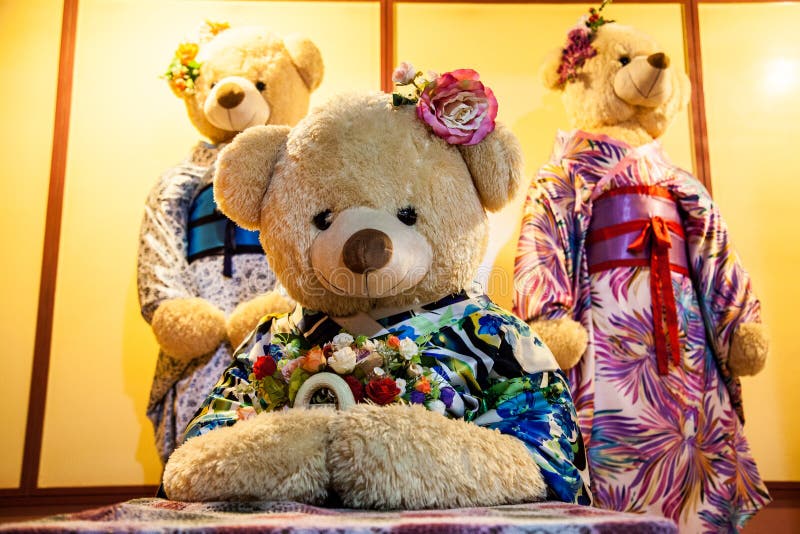 Teddy bear house editorial photography. Image of furry - 78532437