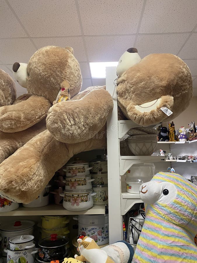 Teddy bear stock image. Image of animal, furniture, brown - 250601135