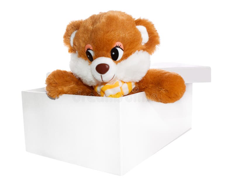 Teddy Bear Inside a Box stock photo. Image of bear, shopping - 13125474