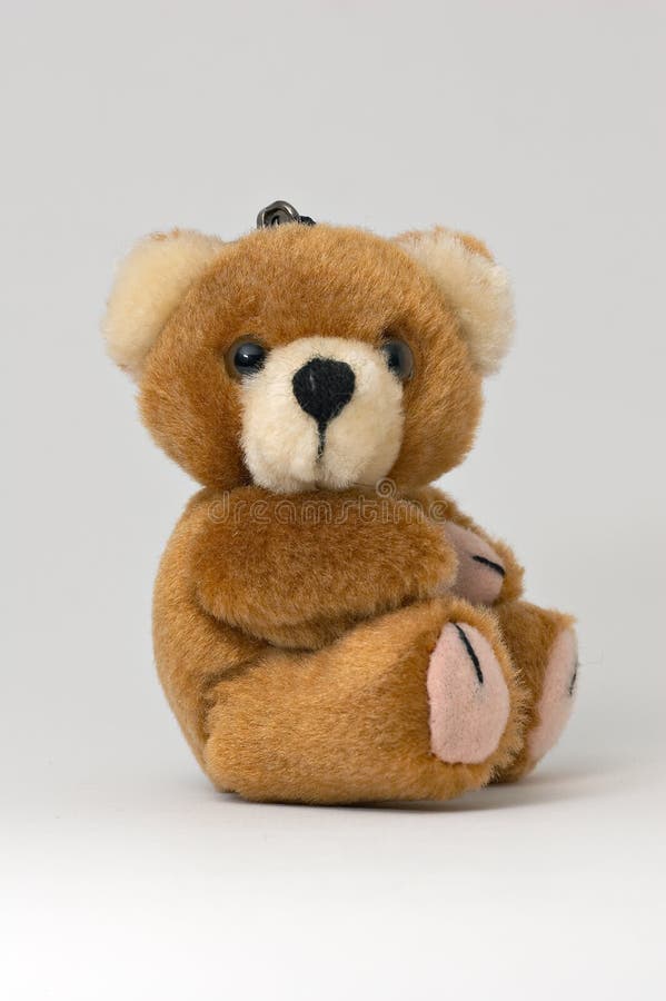 Teddy Bear Keyring stock photo. Image of sitting, white - 542910