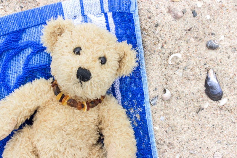 Teddy bear stock image. Image of seashell, bear, towel - 60774453