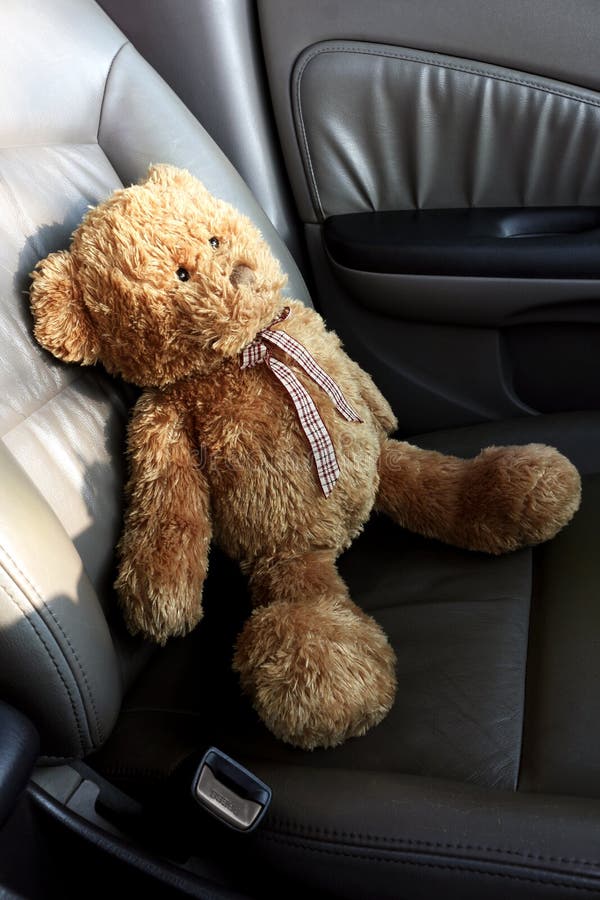 Teddy Bear Lonely Feel in My Car Stock Image - Image of friend, leisure ...