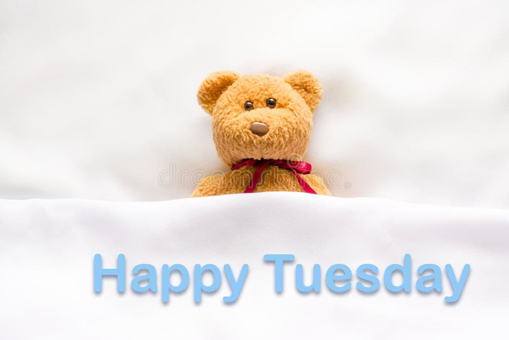 Teddy Bear Lying in the White Bed with Message; Happy Tuesday; Stock ...