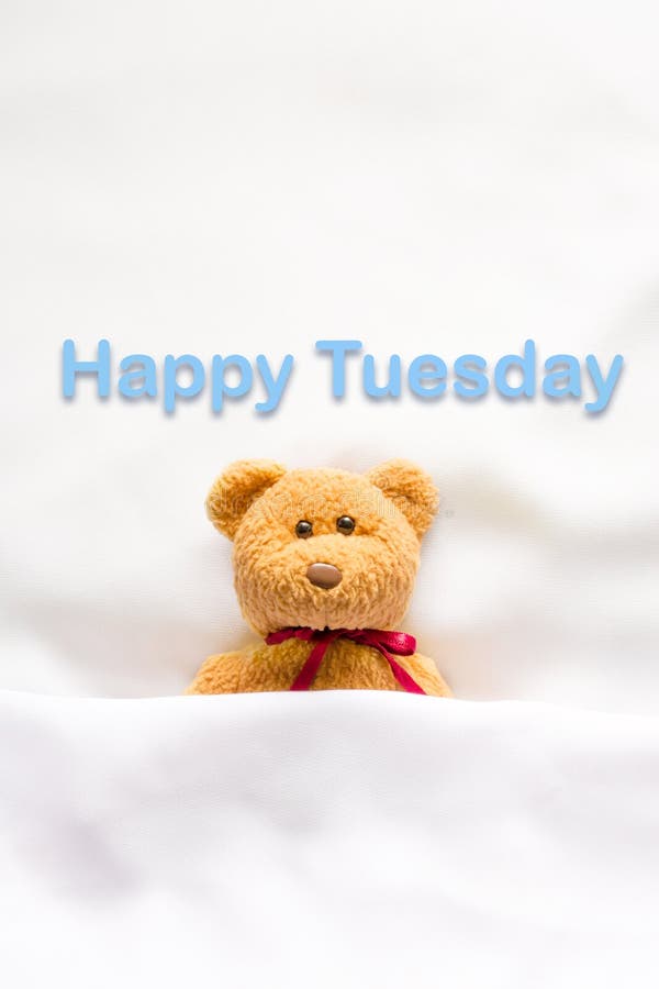 Teddy Bear Lying in the White Bed with Message; Happy Tuesday; Stock ...