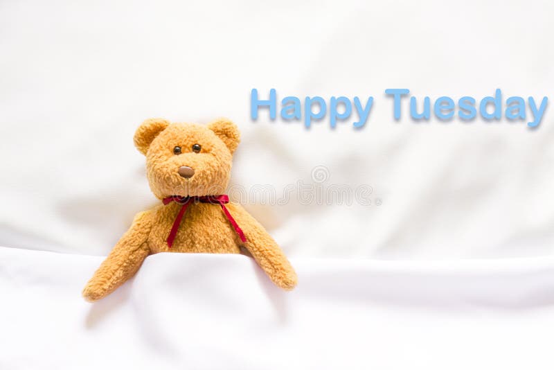 1,931 Happy Tuesday Photos - Free & Royalty-Free Stock Photos from ...